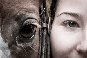 Colour Vision in Horses – Do they see what we see? - Horsepower