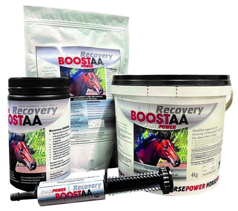 Recovery BOOSTAA Amino Acid supplement -buy amino acid supplements for ...