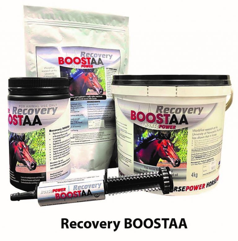 Supplements - Horsepower